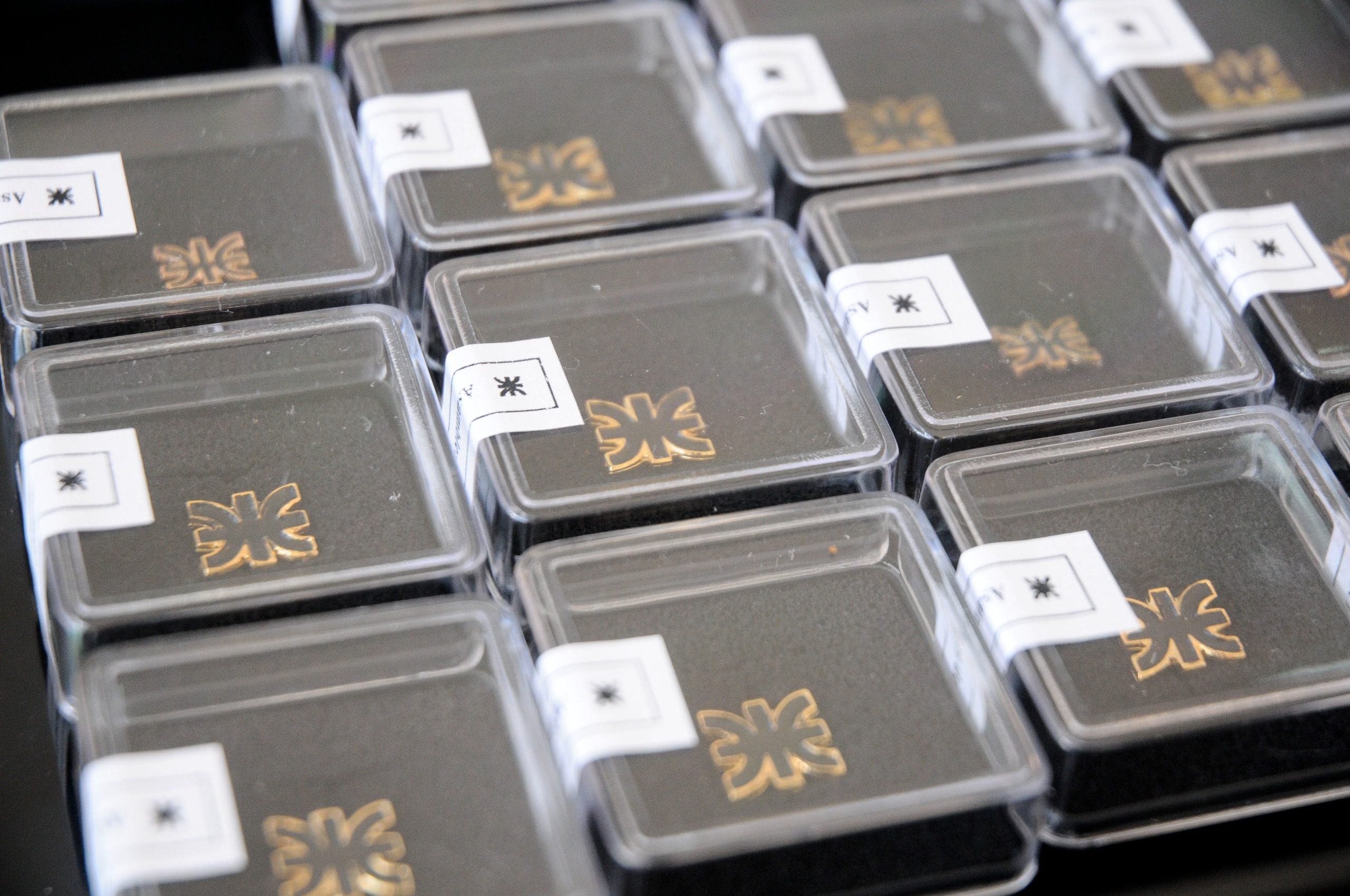 Fabio Romani es el nuevo Decano electo de la UTN La Plata | UTN - Facultad Regional La Plata